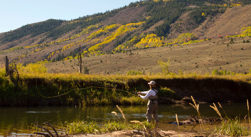 Tandem Streamer Rigs for Fall Trout - Utah Fly Fishing Lodge, Pheasant ...
